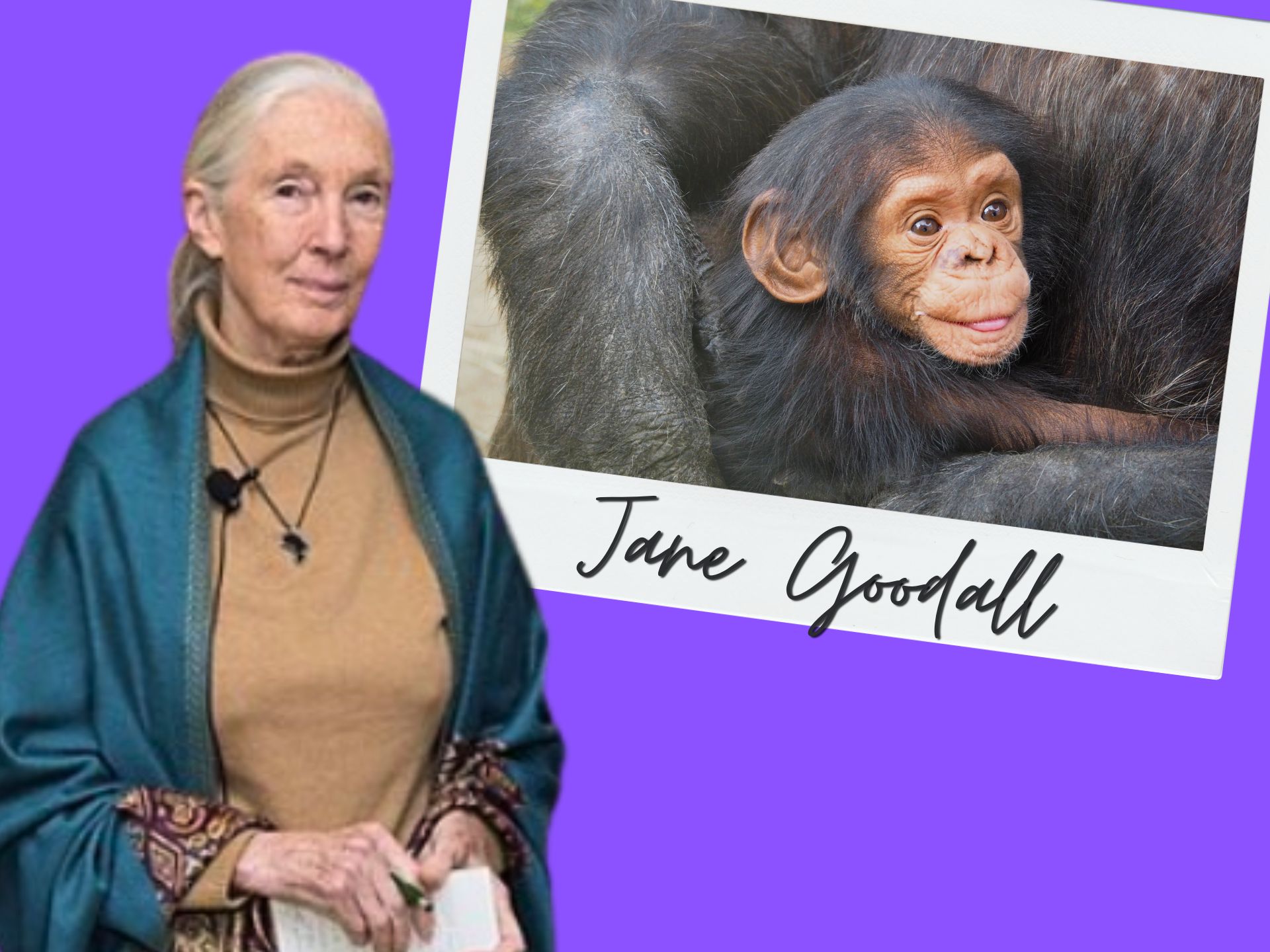 Die Flüsterin der Schimpansen: Wie Jane Goodall die Welt der ...